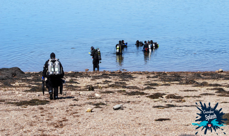Scuba Diving the Underwater World of Canada - Bay of Fundy